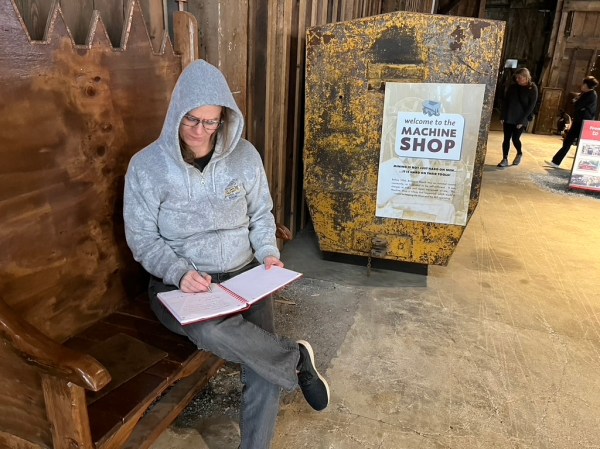 Foundations of Visitor Studies – TM Visitor Studies