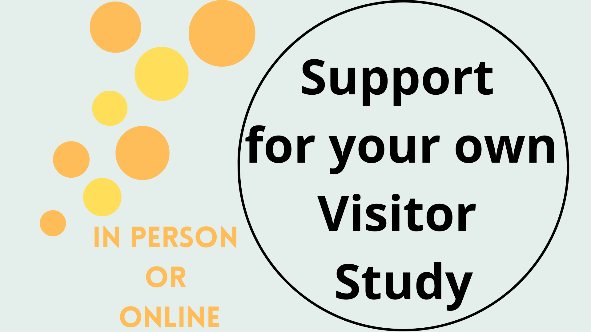 Services – TM Visitor Studies