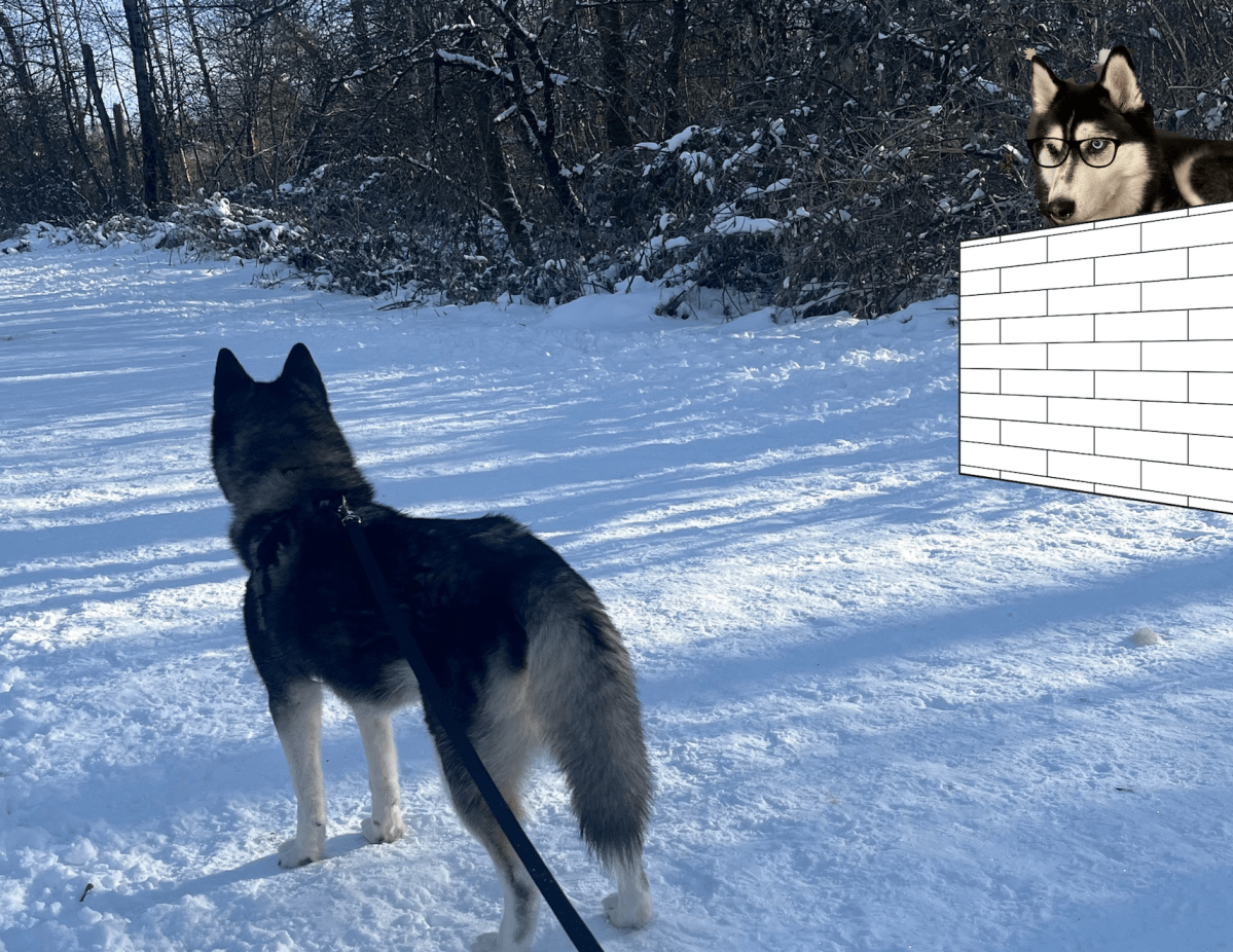 The Power of Observation: Using Timing and Tracking in Visitor Studies – TM Visitor Studies